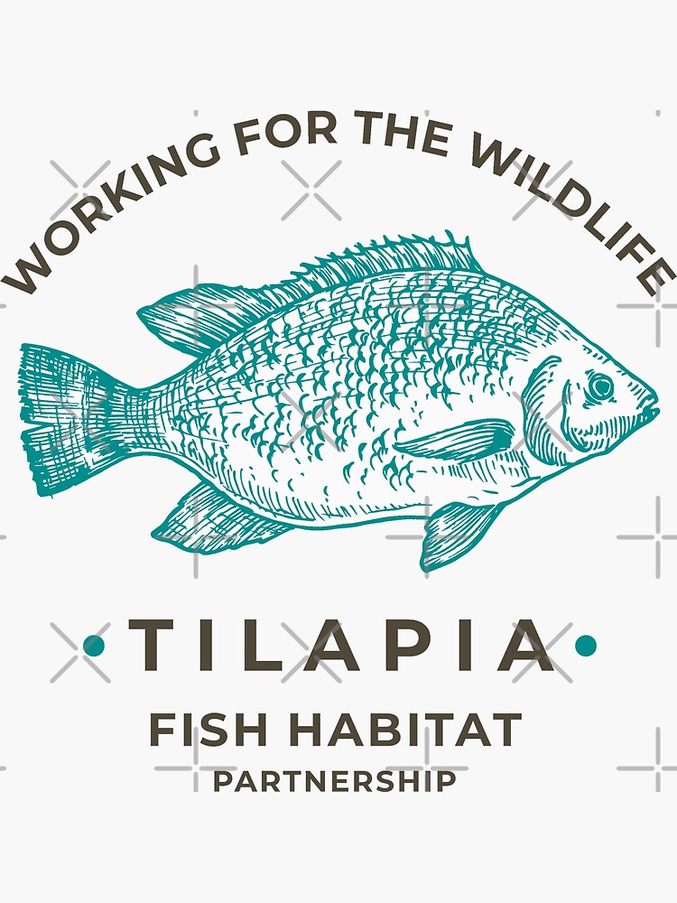 "Tilapia" Sticker for Sale by estudiodurer | Redbubble