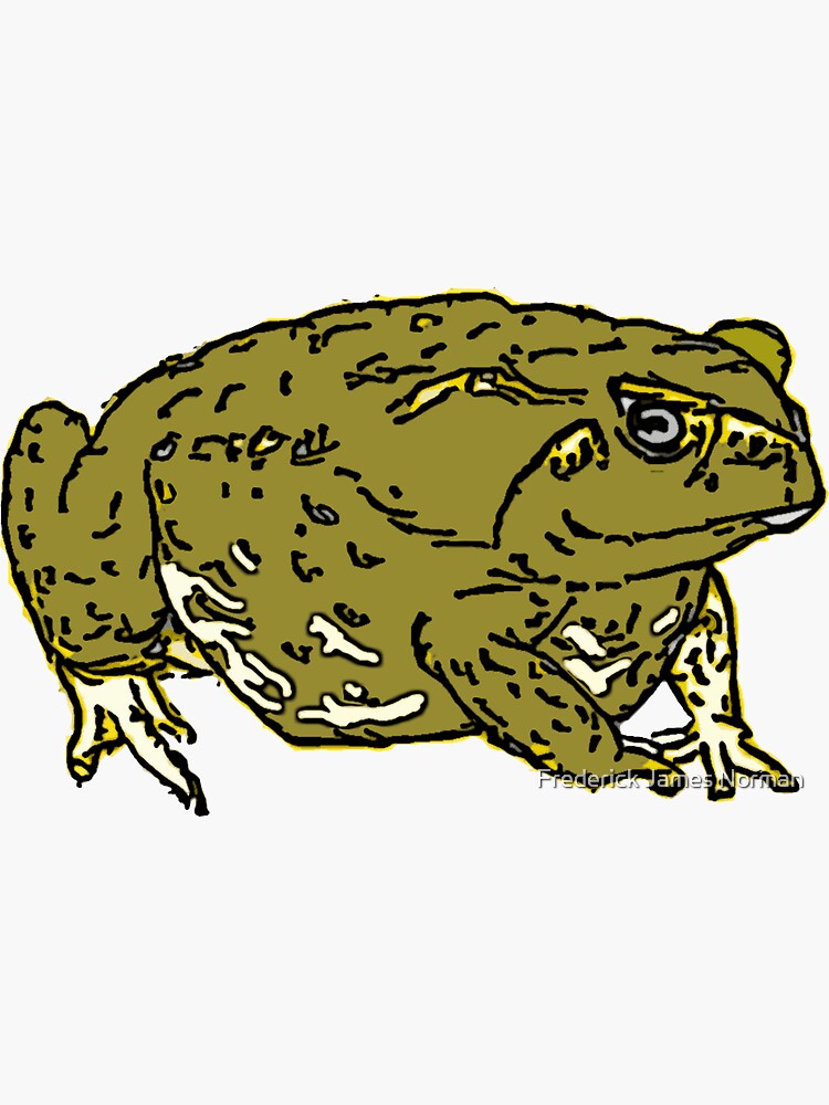 "Little Cane Toad" Sticker for Sale by fjnorman84 | Redbubble