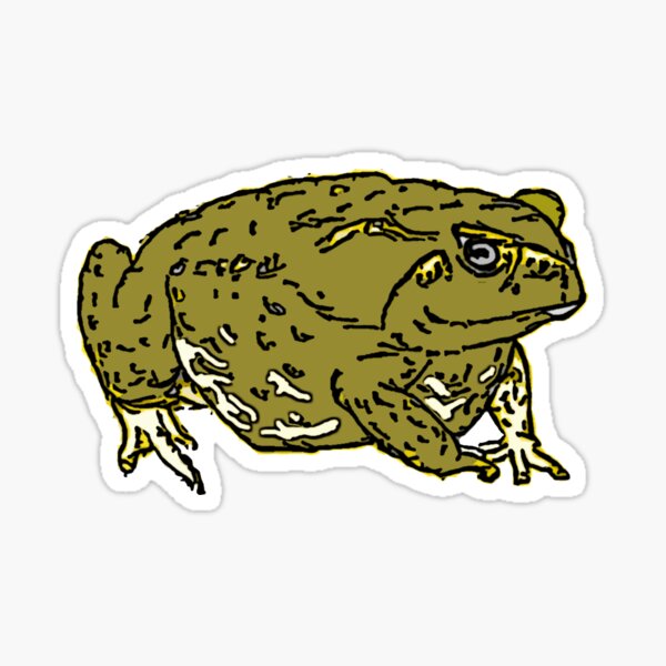 "Little Cane Toad" Sticker for Sale by fjnorman84 | Redbubble