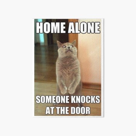 "Hilarious cat home alone meme" Art Board Print by Jfancydesigns ...