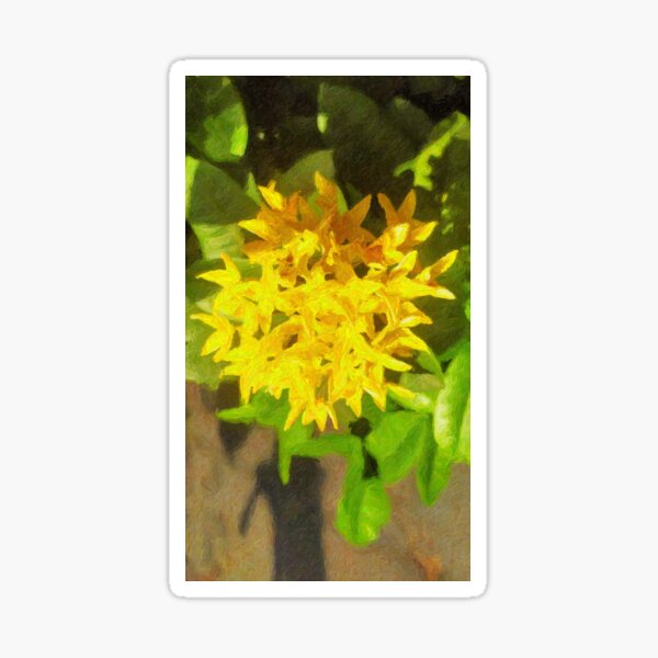 "My vision for Brazil - Exuberant Nature On Canvas 39" Sticker for Sale ...