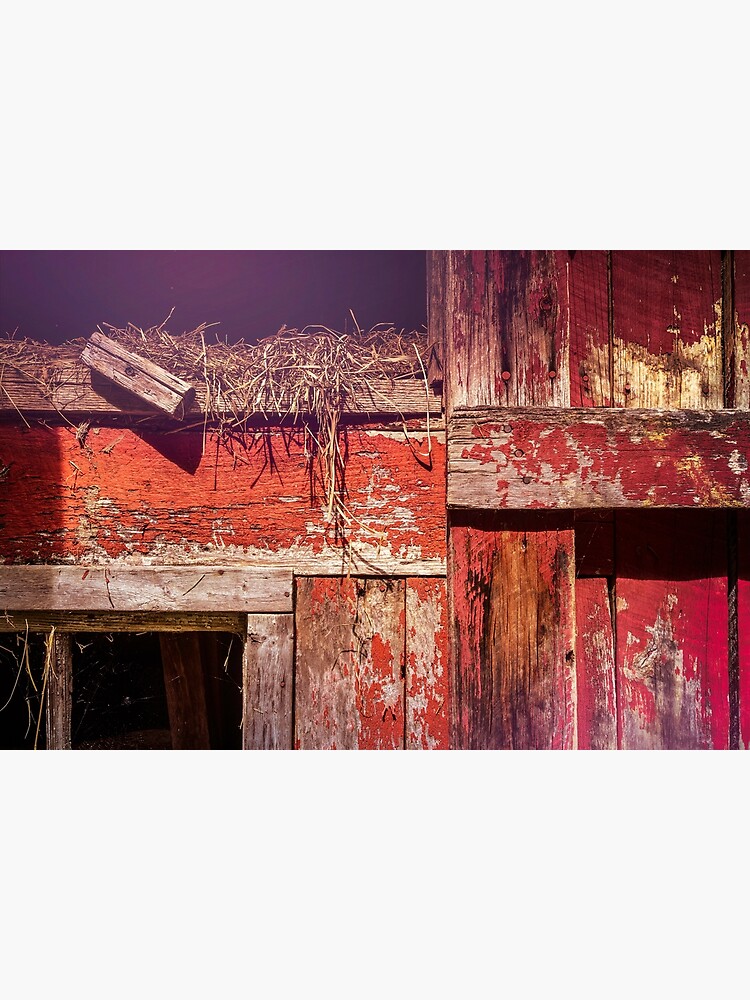 "Decaying Red" Poster for Sale by butterbean57 | Redbubble
