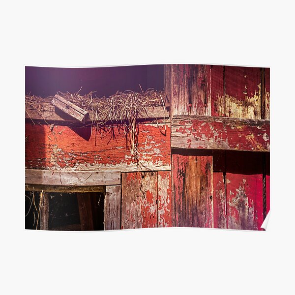 "Decaying Red" Poster for Sale by butterbean57 | Redbubble