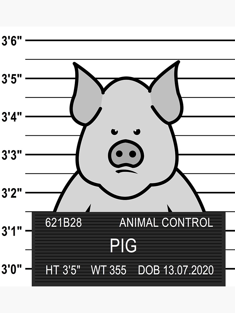 "Pig Mugshot" Sticker for Sale by AlienStickers | Redbubble