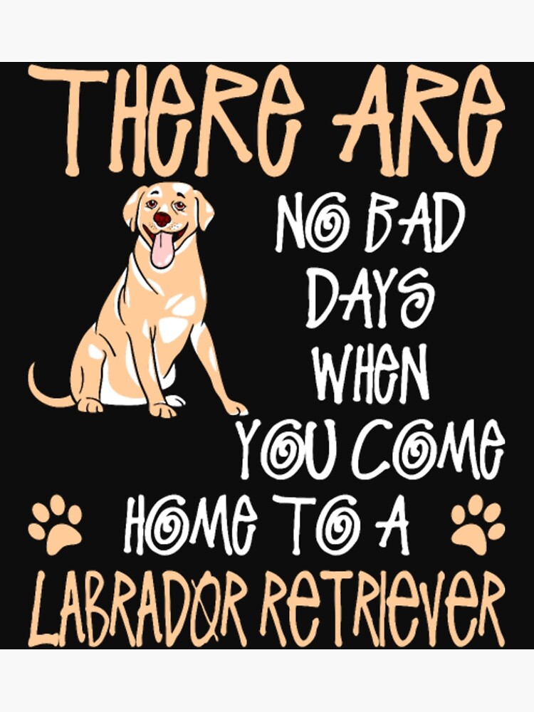 "Come Home To A Labrador retriever" Poster for Sale by Clavitaps ...