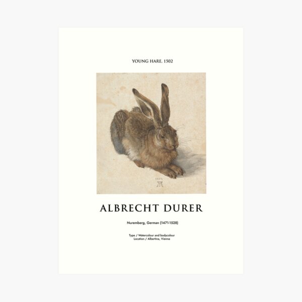 "Albrecht Durer, Young Hare, Bunny, Antique, Animals portrait, Rabbit ...