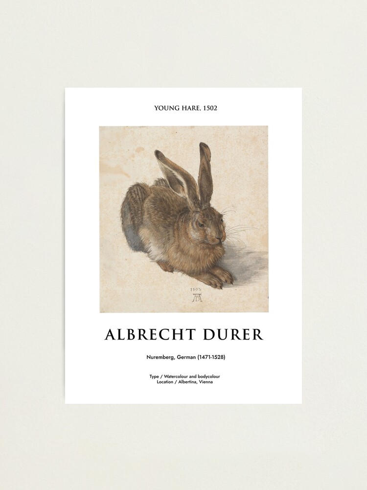 "Albrecht Durer, Young Hare, Bunny, Antique, Animals portrait, Rabbit ...