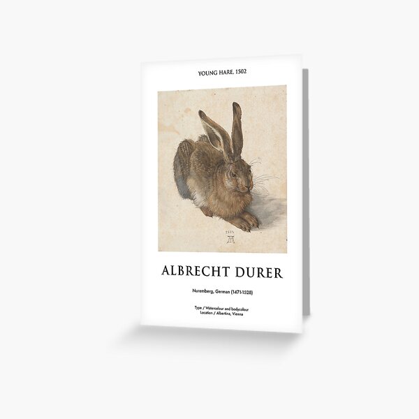 "Albrecht Durer, Young Hare, Bunny, Antique, Animals portrait, Rabbit ...