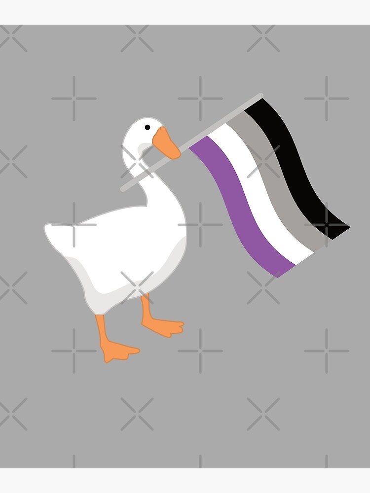 "Goose Asexual Pride Flag LGBTQ" Poster for Sale by ChailynReed | Redbubble