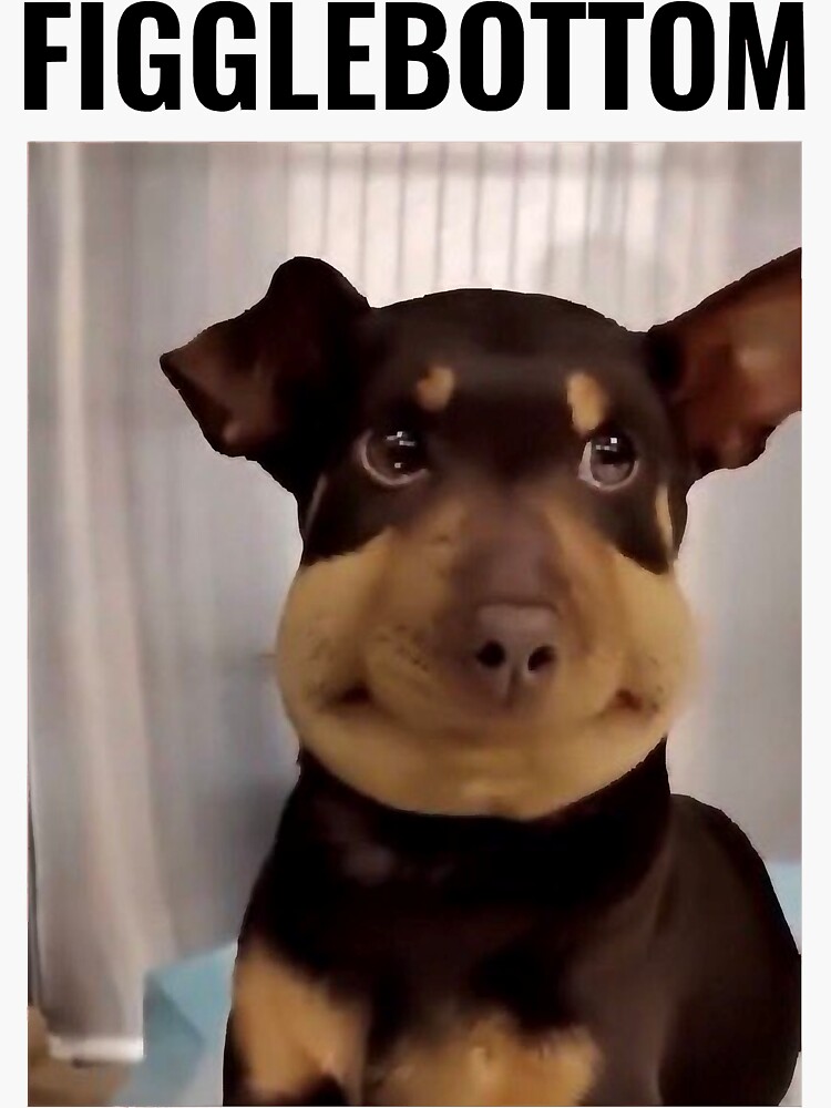 "figglebottom" Sticker for Sale by GeneRobles | Redbubble