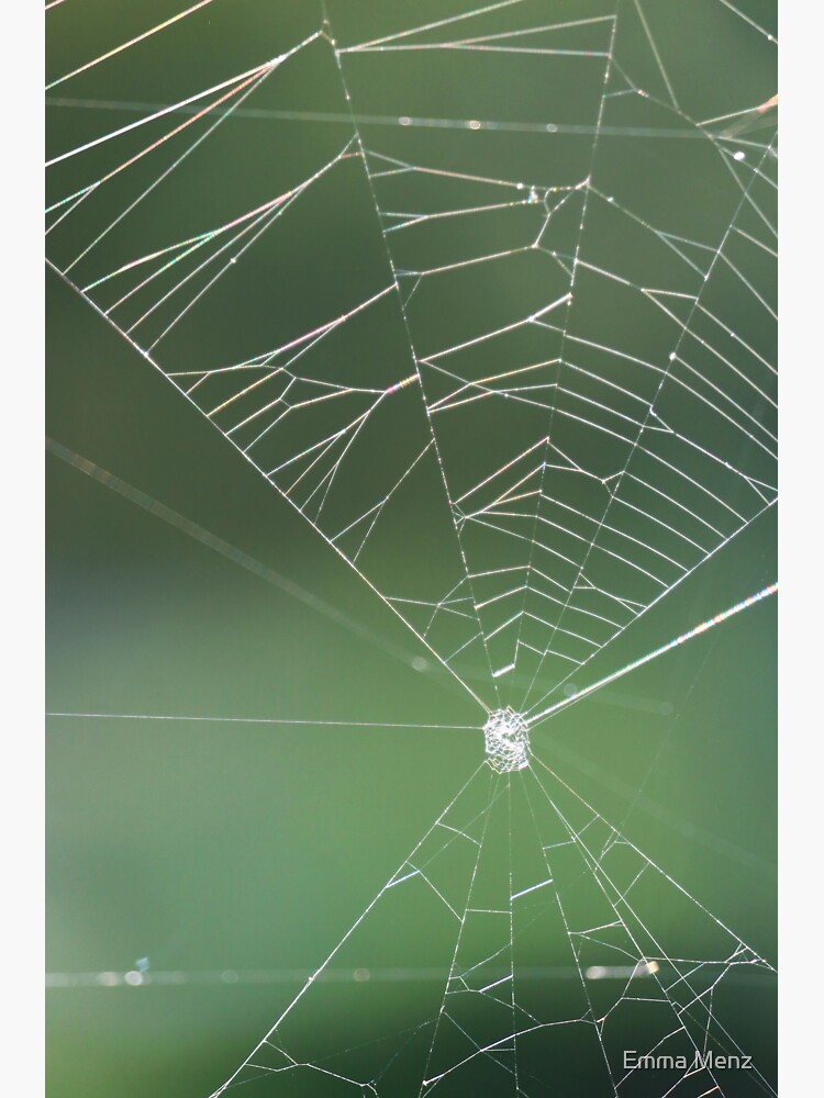 "Spider Web" Sticker for Sale by Emma-Menz | Redbubble