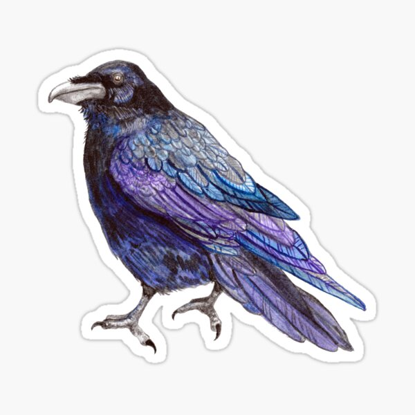 Stuffed Animals & Plushies Vintage Pebbles Pets Crow 1990's Toys ...