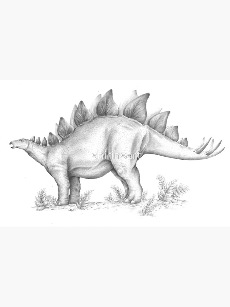 "Stegosaurus | Realistic Dinosaur Graphite Art | Paleoart" Art Print ...