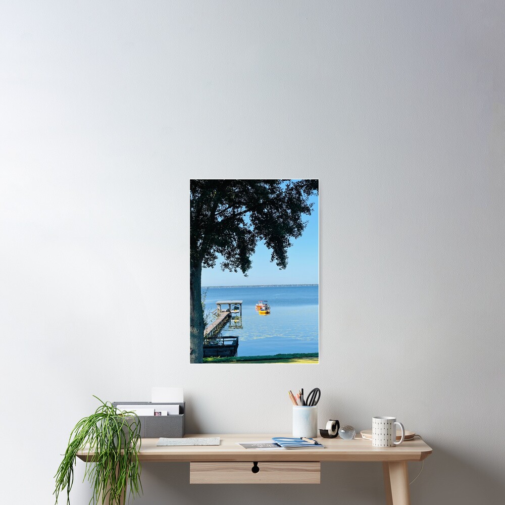 "Lake Life" Poster for Sale by Rivenbark | Redbubble