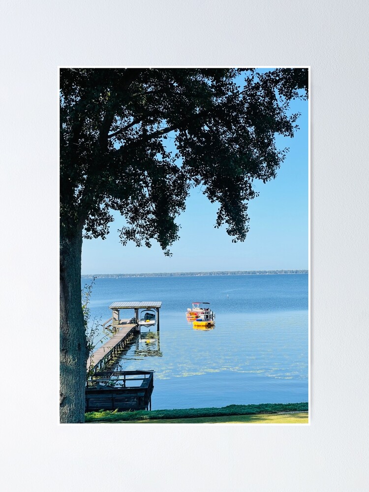 "Lake Life" Poster for Sale by Rivenbark | Redbubble
