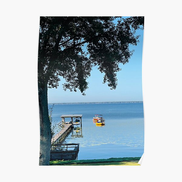 "Lake Life" Poster for Sale by Rivenbark | Redbubble