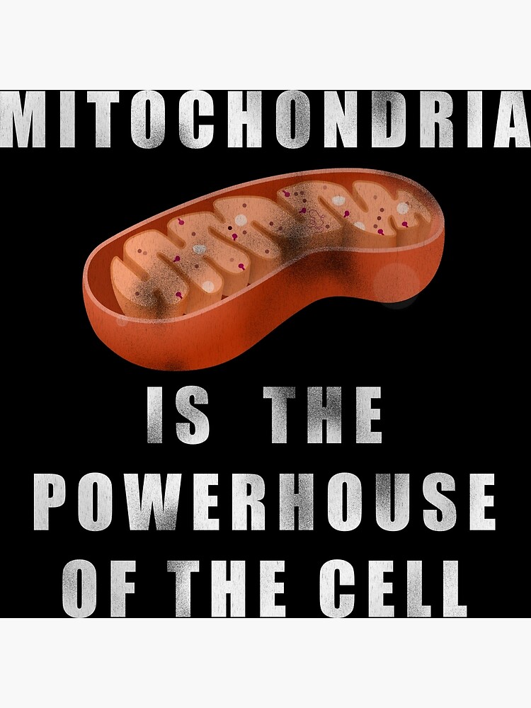 "Mitochondria is the Powerhouse of the Cell" Poster by dzdn | Redbubble