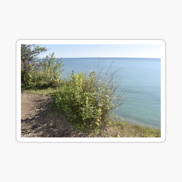 "Asters on the Bluff" Sticker for Sale by gurineb | Redbubble