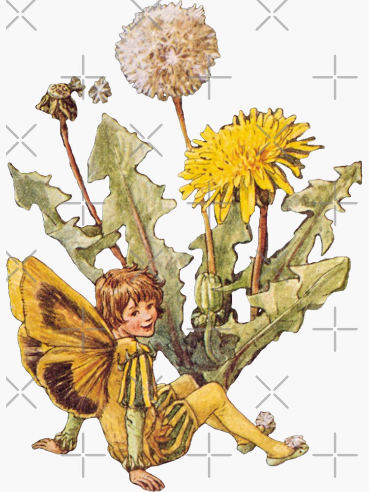 "Cicely Mary Barker The Dandelion Fairy Illustration " Sticker for Sale ...