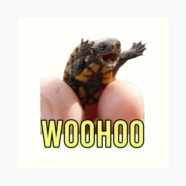 Woohoo Meme Funny Fundraiser For AJ Sanchez By AJ Sanchez : AJ's Top