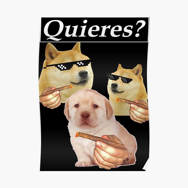 "Cute Golden Retriever and shiba inudog puppy Quieres meme- funny meme ...