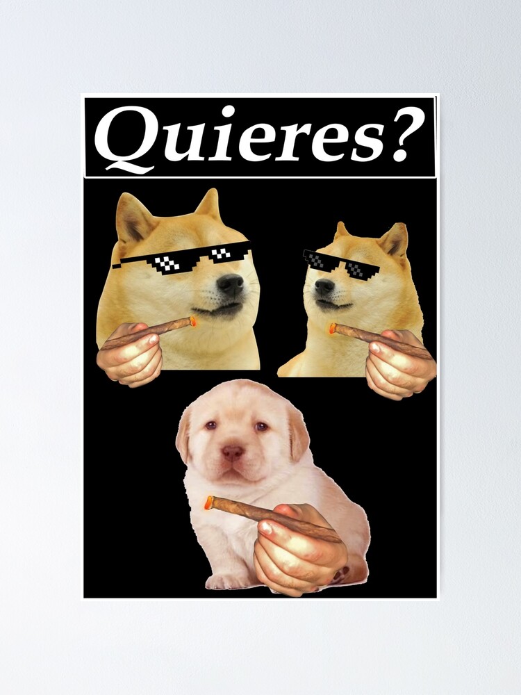 "Cute Golden Retriever and shiba inudog puppy Quieres meme- funny meme ...