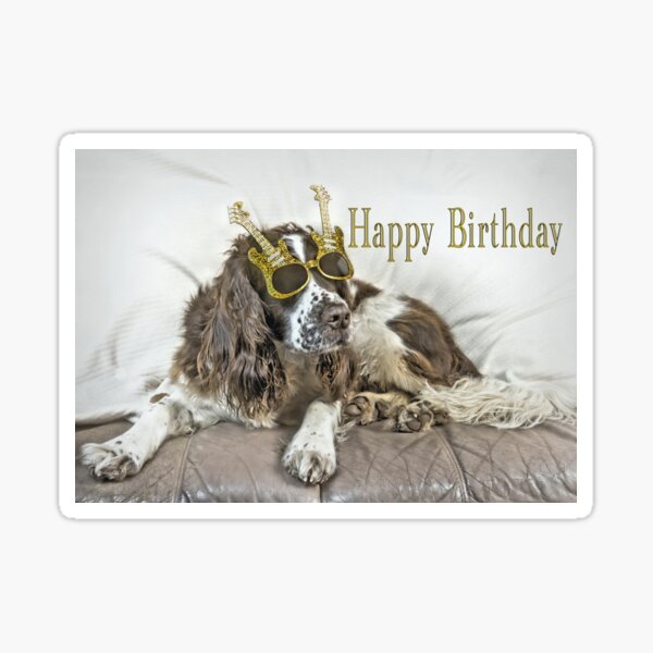 "Happy Birthday Rock Dog" Sticker for Sale by JEZ22 | Redbubble