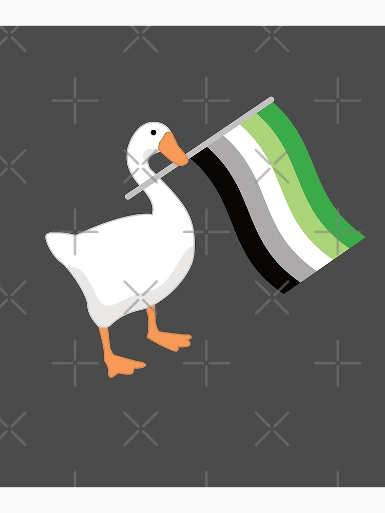 "Goose Aromantic Pride Flag LGBTQ" Poster for Sale by ChailynReed ...