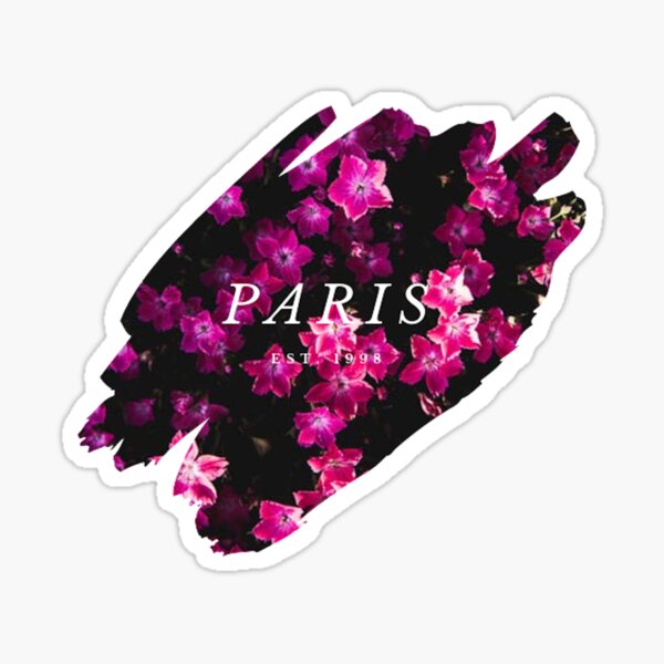 "PARIS EST.1998 design" Sticker by eliapis49 | Redbubble