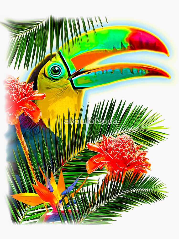 "Toucan Tropical Bird" Sticker by abowlofsoda | Redbubble