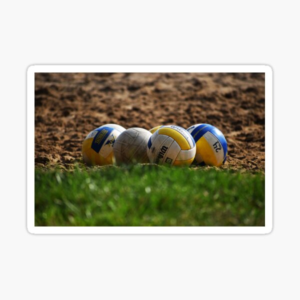 "Volleyball" Sticker by DeniseGeelhart | Redbubble
