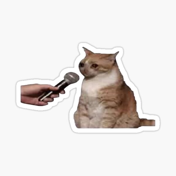 "cat, crying and interview meme" Sticker for Sale by animalmemefunny ...