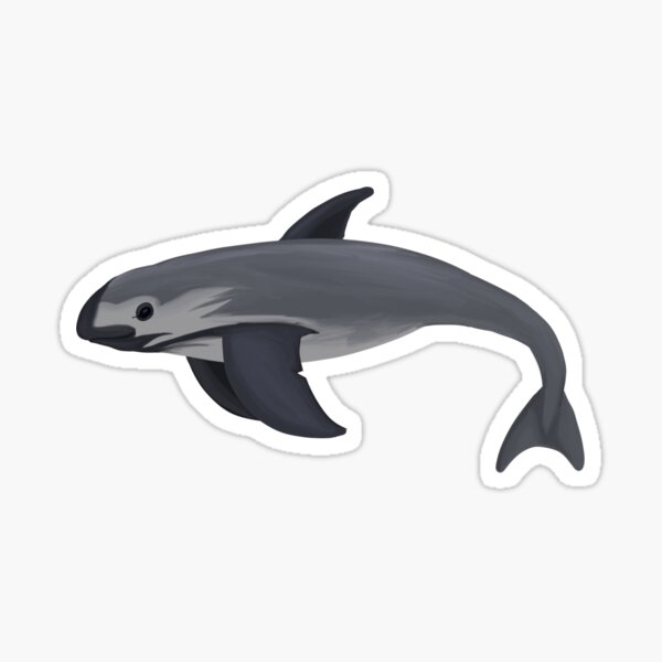 "Vaquita Marina" Sticker for Sale by ValSideralis | Redbubble