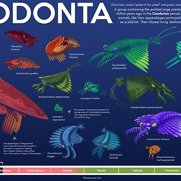 "RADIODONTA" Poster for Sale by Percy Curry | Redbubble