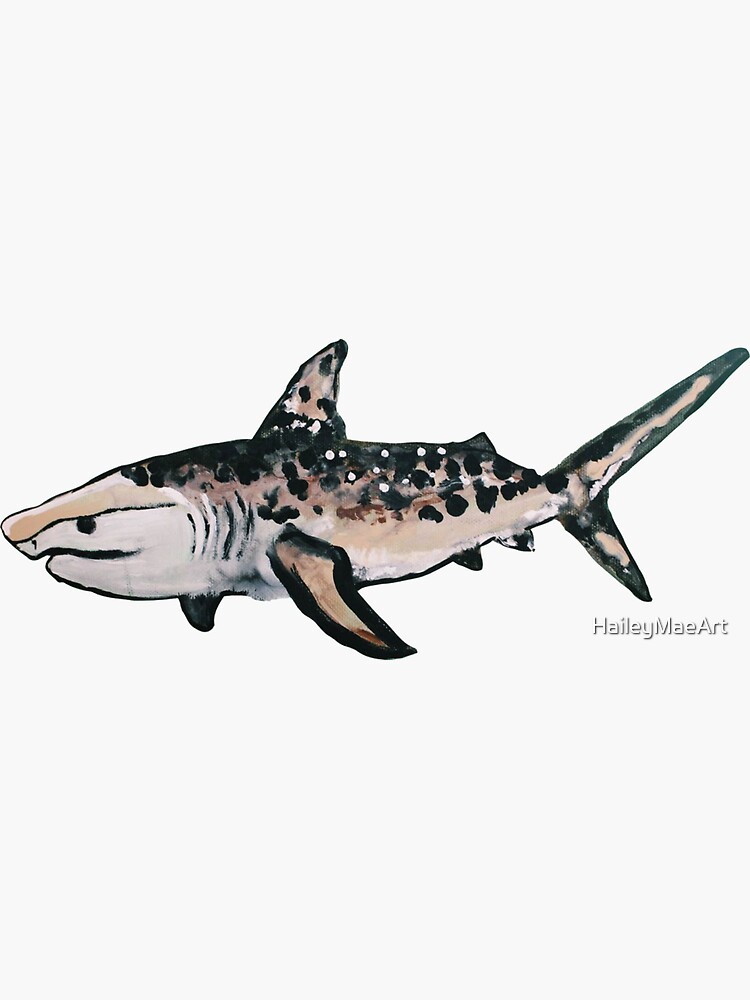 "Tiger Shark Sticker" Sticker by HaileyMaeArt | Redbubble