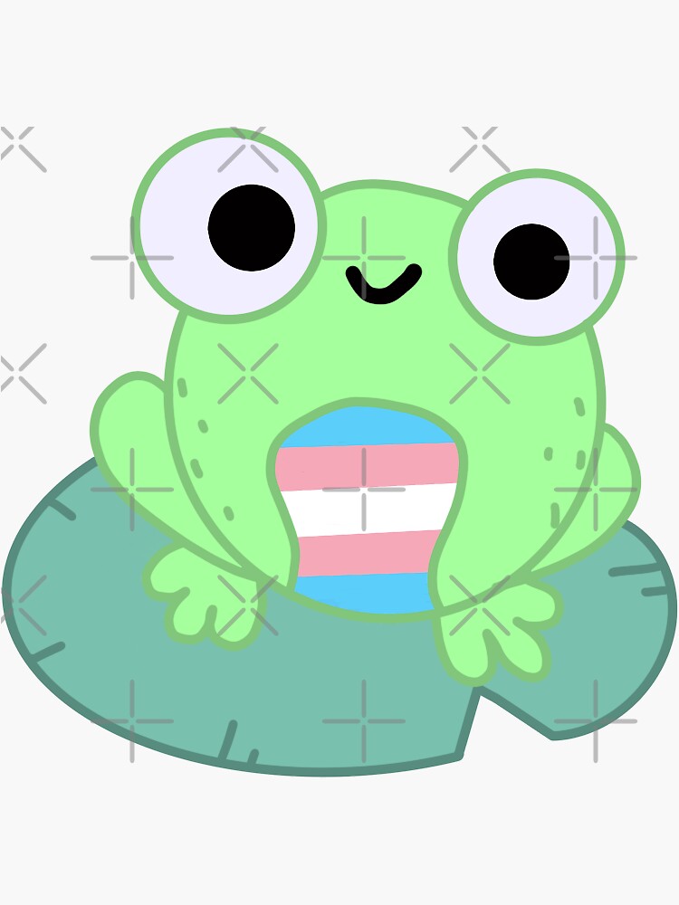 "Frog on Lilypad - Trans Pride Flag" Sticker by GoetzRae | Redbubble