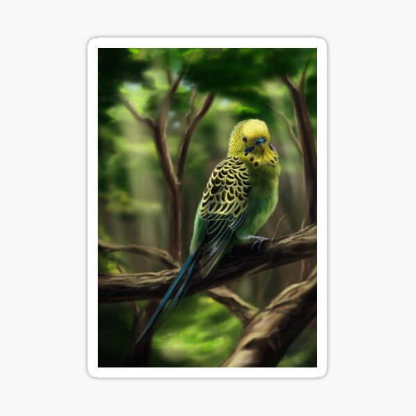 "Budgie Bird Watching" Sticker for Sale by Alakdangtokwa | Redbubble