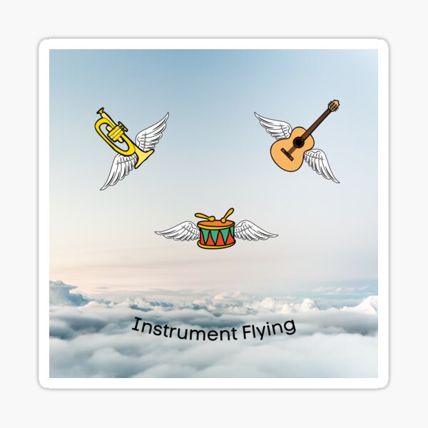 "Instrument Flying Rules! (IFR) " Sticker for Sale by kathysz | Redbubble