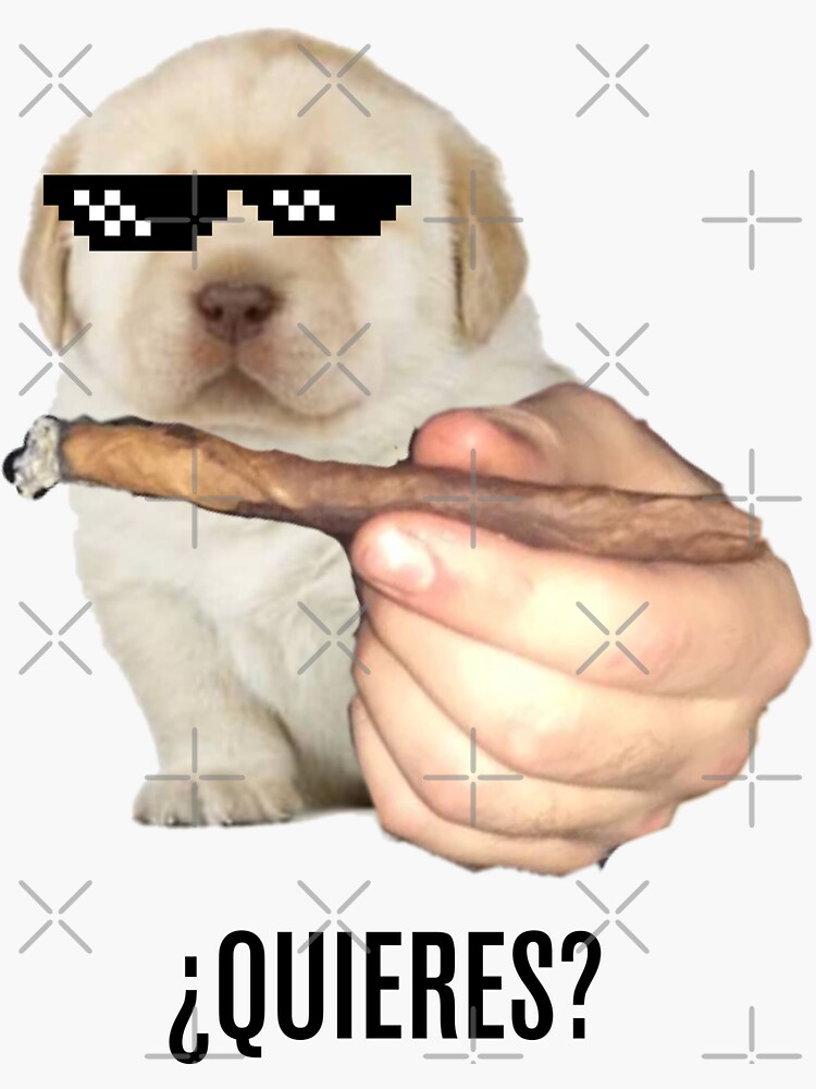 "Funny boss Dog Quieres Meme " Sticker for Sale by Nwidas | Redbubble