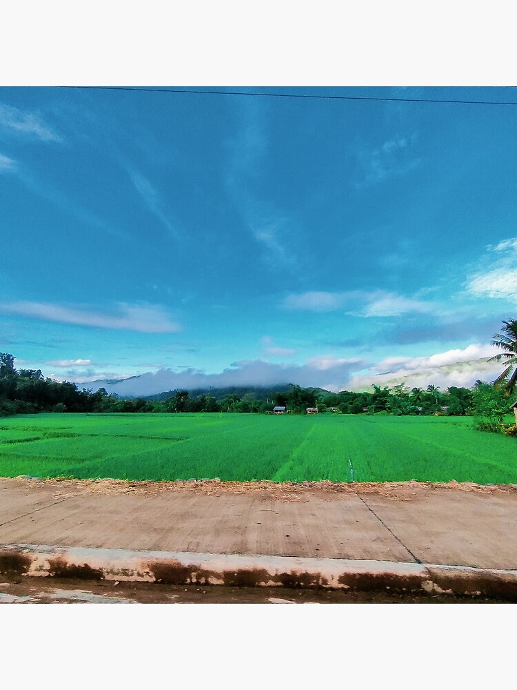 "Green rice fields in Conner, Apayao" Photographic Print for Sale by ...