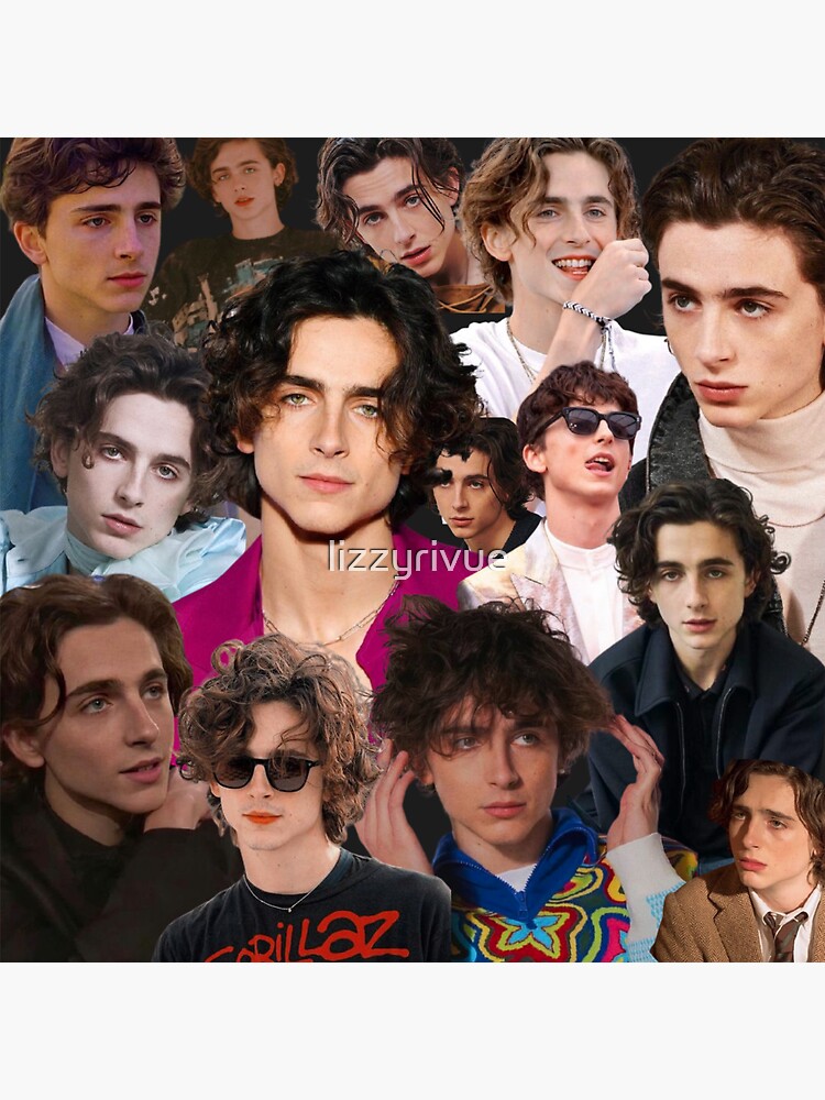 "Timothee Chalamet collage" Sticker for Sale by lizzyrivue | Redbubble