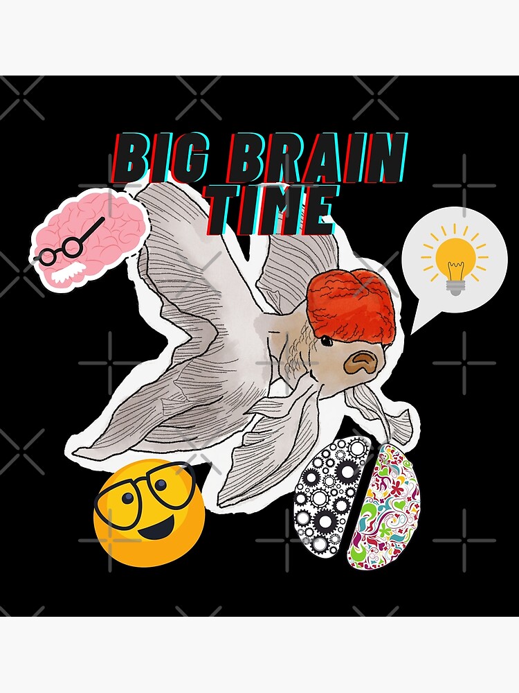 "Big Brain Time - Goldfish - Red Cap Oranda Goldfish - Meme" Art Print ...