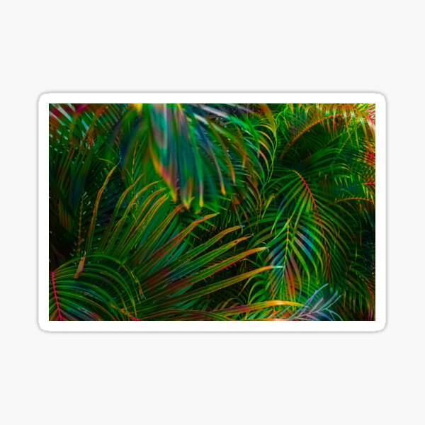"Prong Highlights" Sticker for Sale by Vanwizle | Redbubble