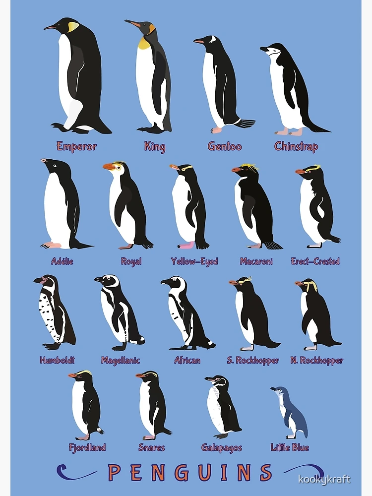 Penguin Species Chart