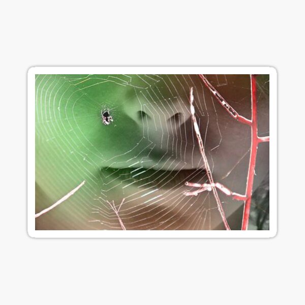 "Spiders web face" Sticker for Sale by Julieford | Redbubble