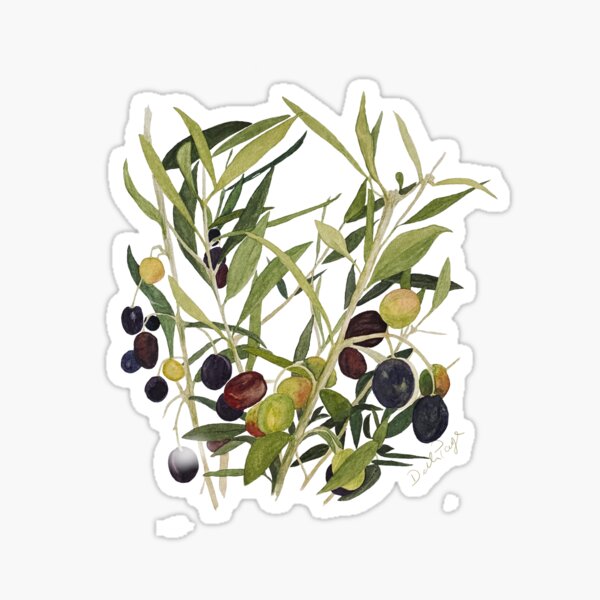 "OLIVE BRANCH" Sticker for Sale by Debrafarrellart | Redbubble