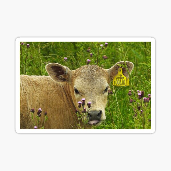 "Dairy Cow" Sticker by Catchavista | Redbubble