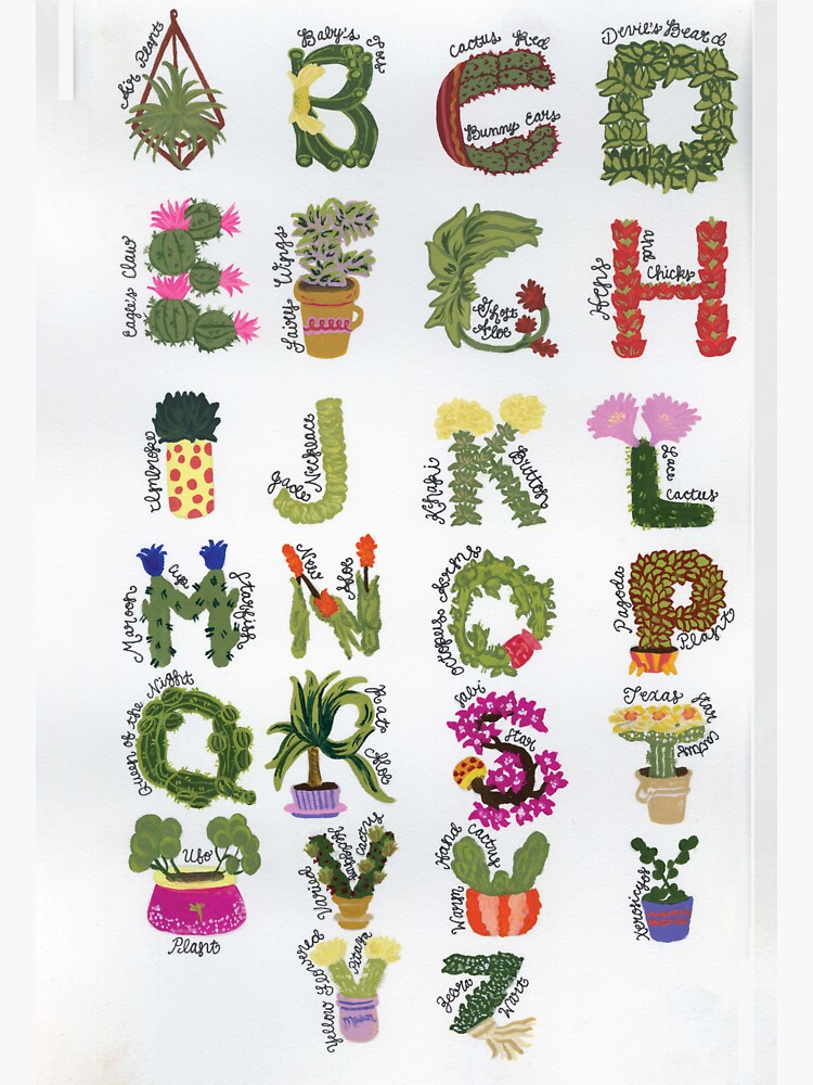"Succulent Alphabet" Sticker for Sale by k713 | Redbubble