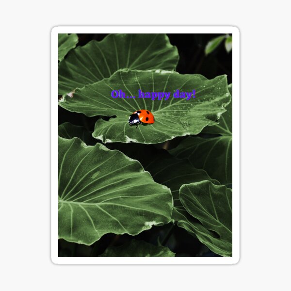 "nature quirky fun happiness" Sticker for Sale by literatifirst | Redbubble