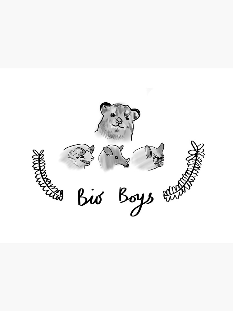 "Biology Animals Bats and Rock Hyrax/Quokka" Sticker for Sale by kylie ...